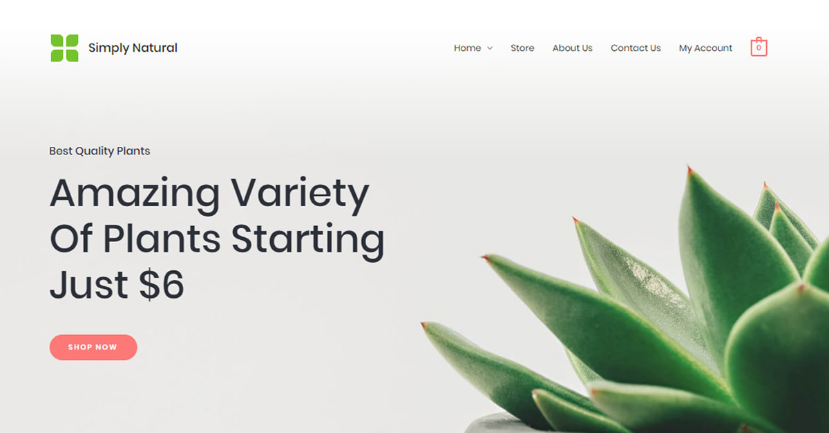 Website Templates Archive - Simply Natural