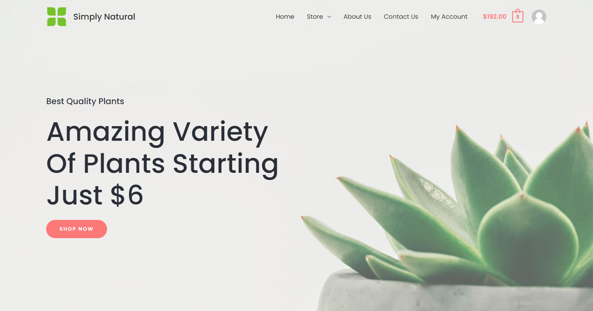 Astra Blocks Archive - Simply Natural