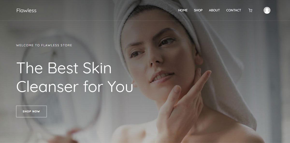 Dashboard - Skin Cleanser Store